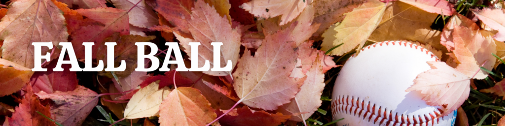 Panthers Fall Ball - Kitchener Minor Baseball